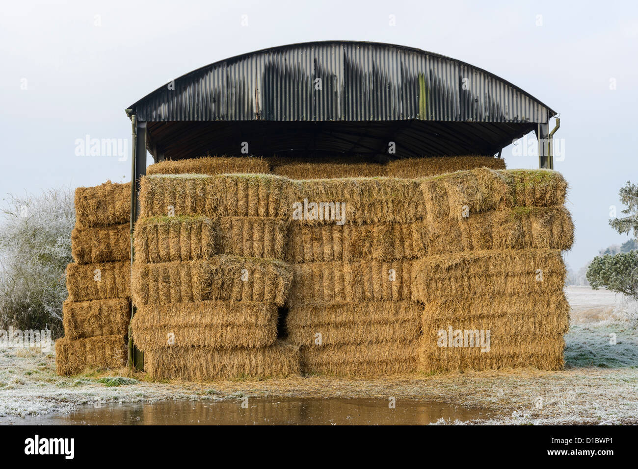 Open sided barn hi-res stock photography and images - Alamy