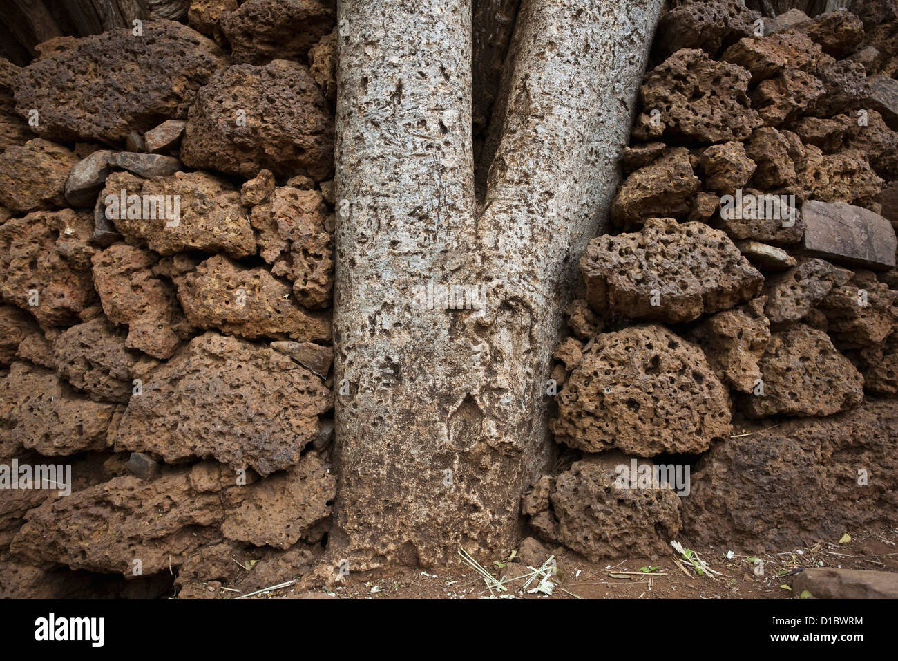 Traditional Konso village on a mountain ridge overlooking the rift ...
