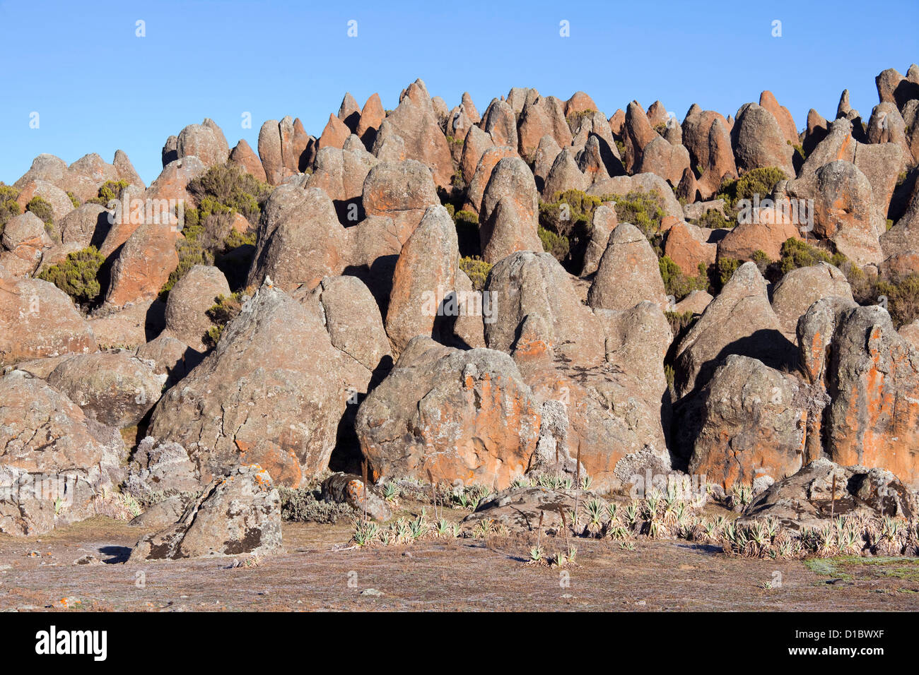 The Rafu Lava Flow with its bizarre rock formations, Sanetti Plateau ...