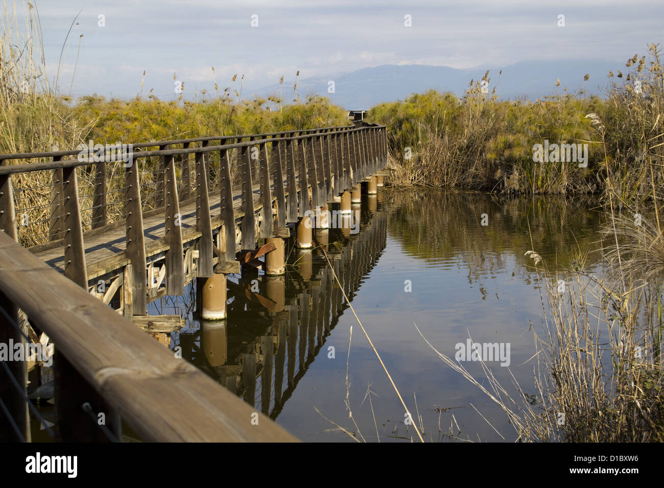 Birds watching bridge in Hula Nature Reserve in north Israel Stock ...