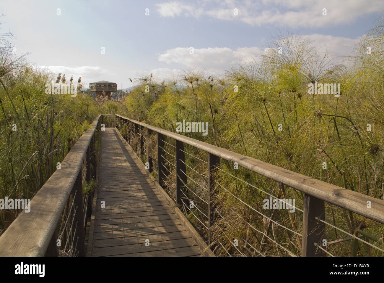 Birds watching bridge in Hula Nature Reserve in north Israel Stock ...