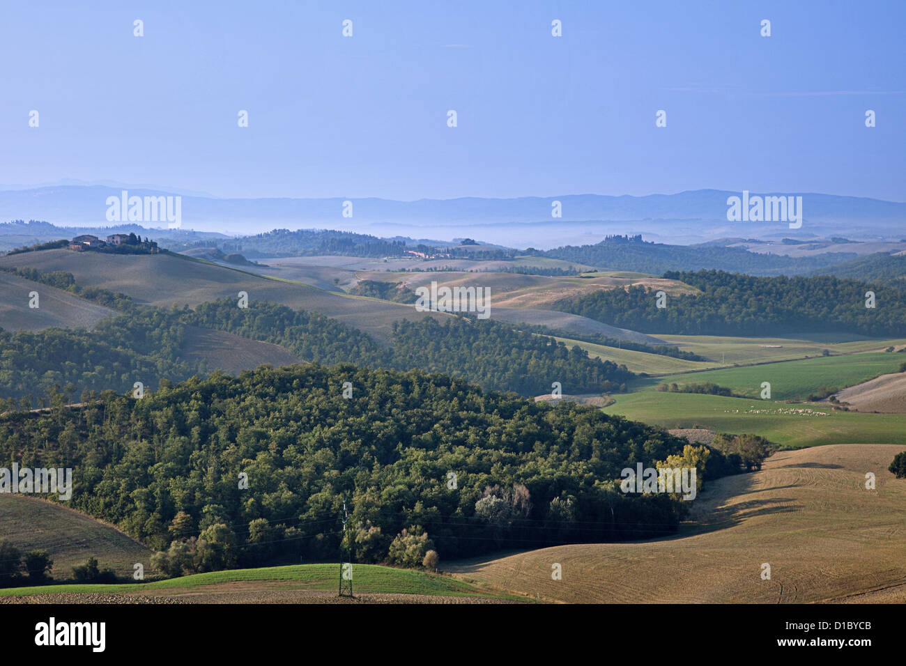 Tuscany forest hi-res stock photography and images - Alamy