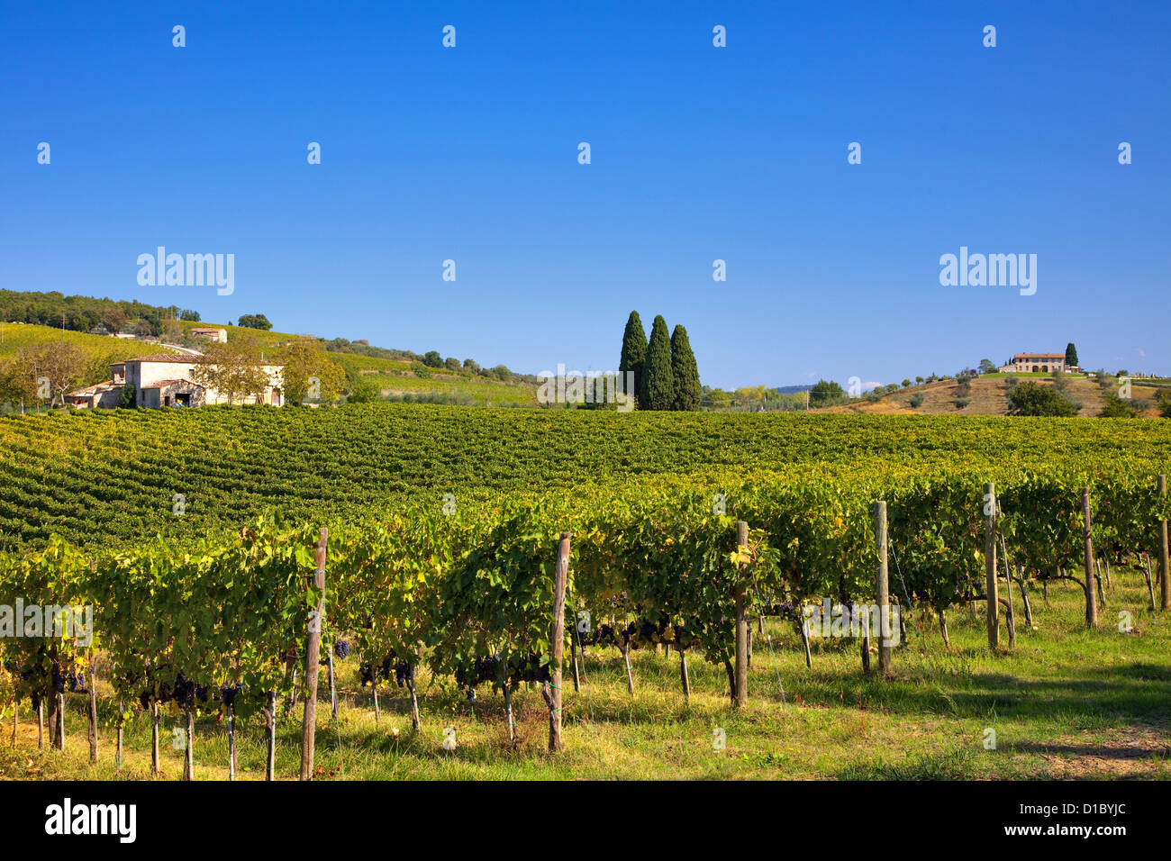Chianti tourism hi-res stock photography and images - Alamy