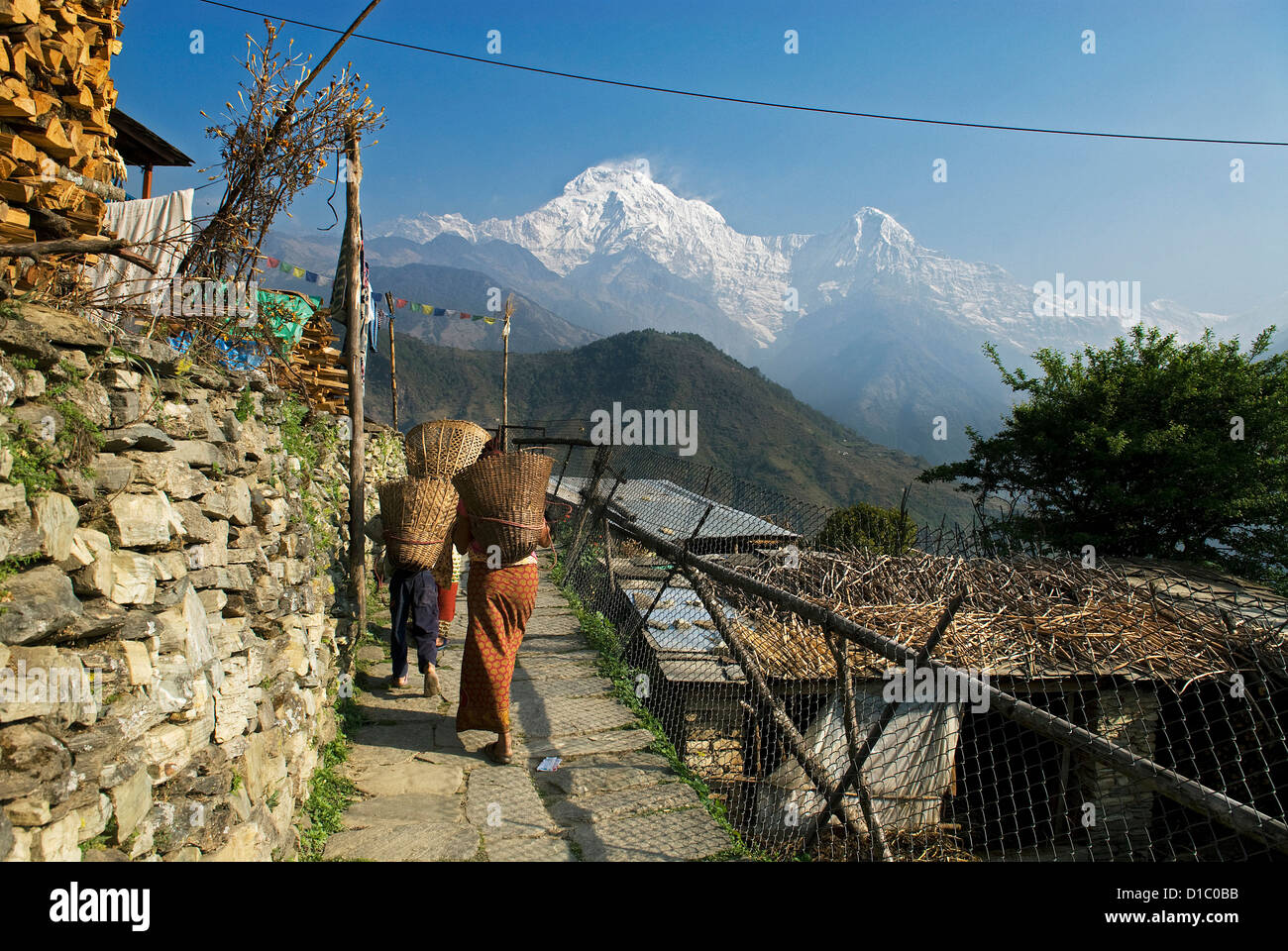 Doko hi-res stock photography and images - Alamy