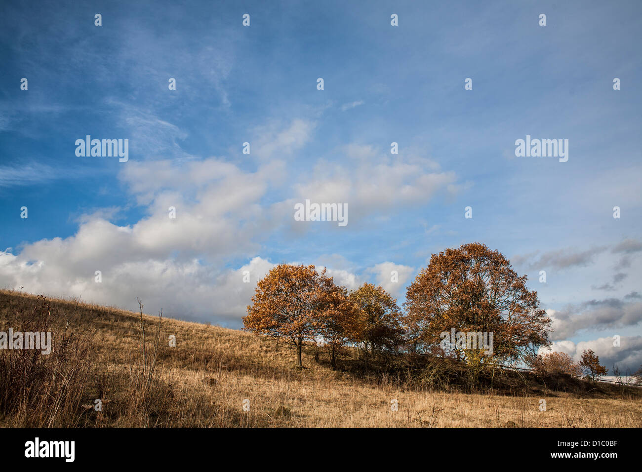 Rodderberg, extinct volcano, crater, crater-scenerey, nature sanctuary ...