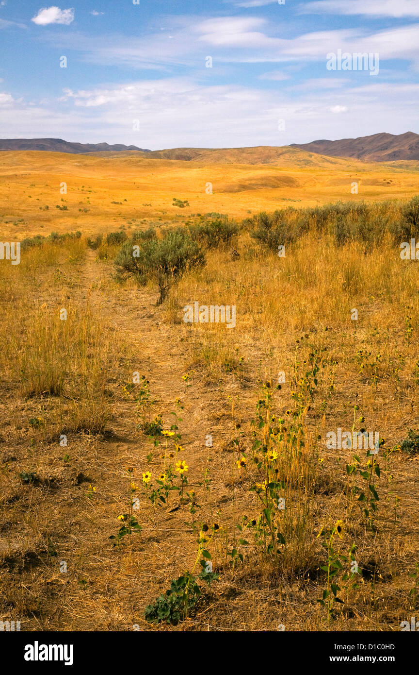 Westward expansion pioneers hi-res stock photography and images - Alamy