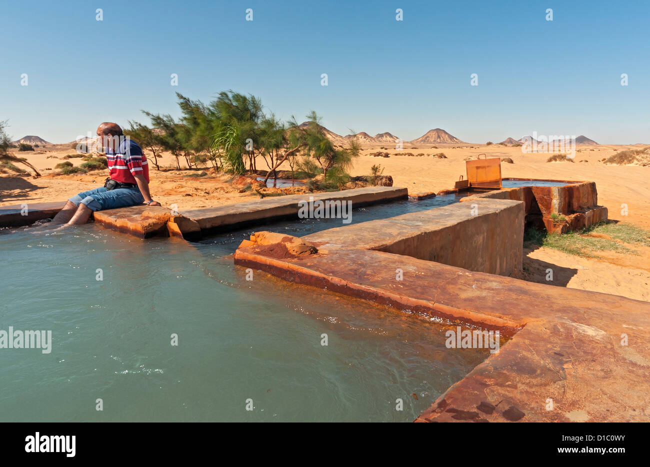 Natural Water Spring, Western (Libyan) Desert, Egypt Stock Photo - Alamy