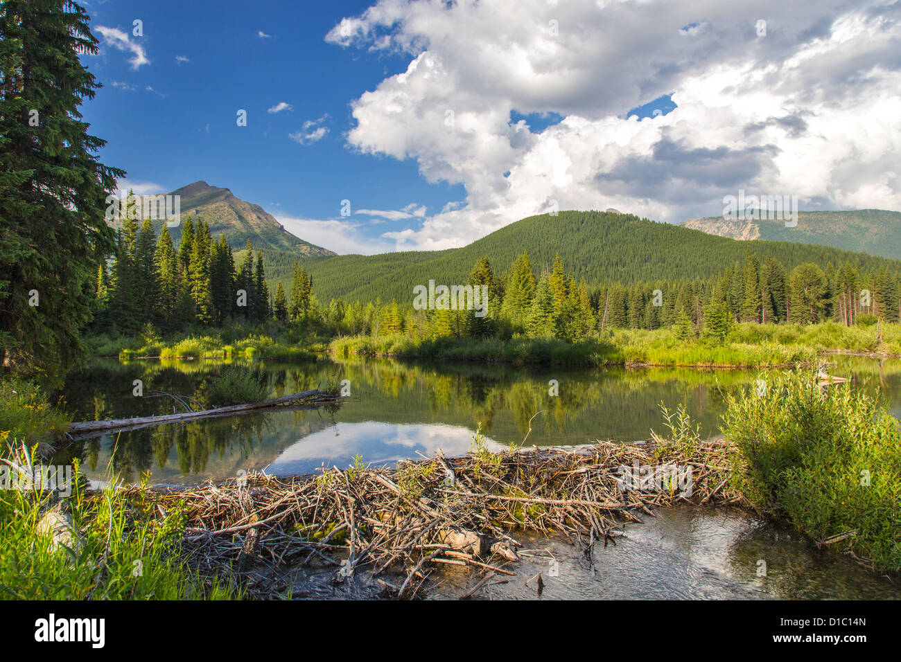 Canada, British Columbia. Serene and reflective landscape on Flathead ...