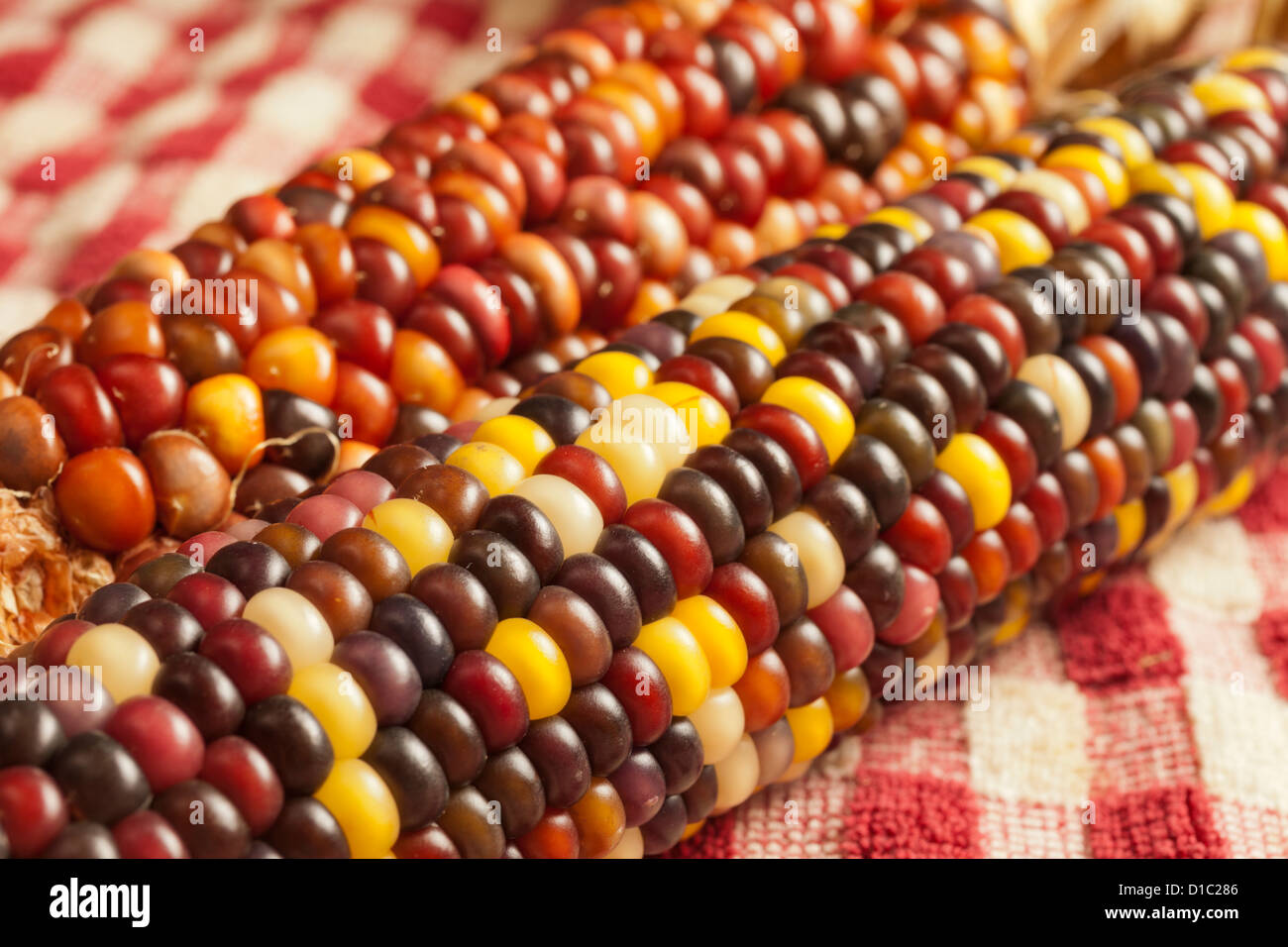 Indian food crop hi-res stock photography and images - Alamy