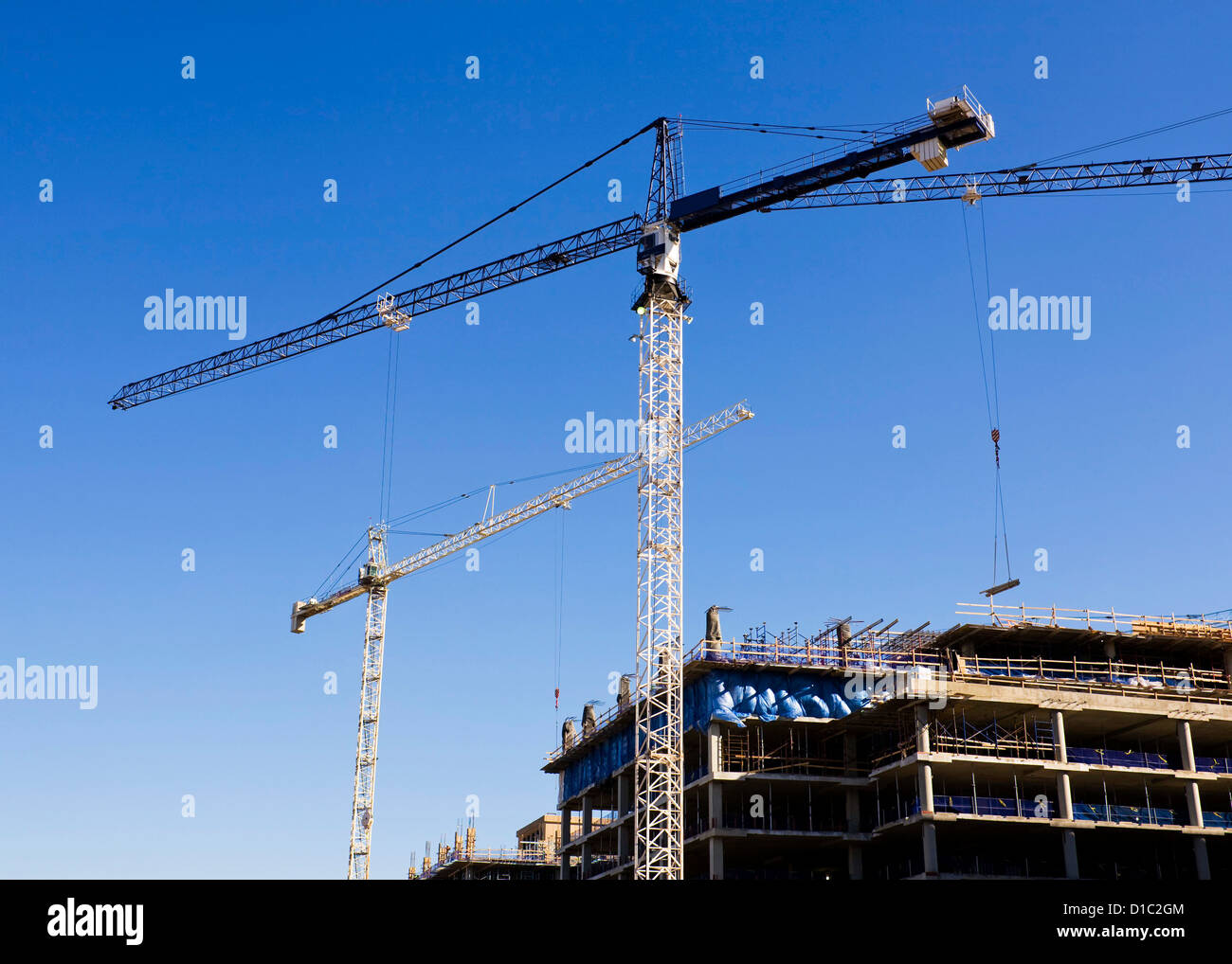 Tower cranes on construction site Stock Photo - Alamy