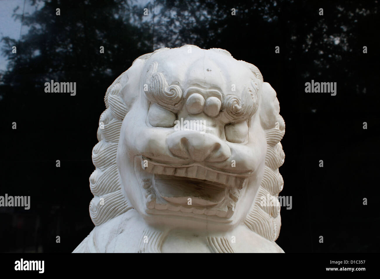 Chinese imperial guardian lions in the forbidden city beijing known as ...