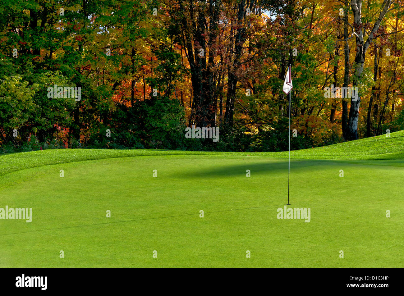 Golf course putting green with flag in autumn colors Stock Photo - Alamy