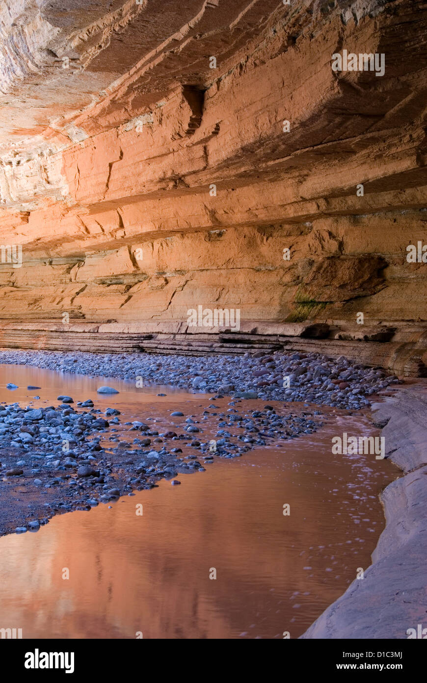 Kanab canyon at coconino county hi-res stock photography and images - Alamy