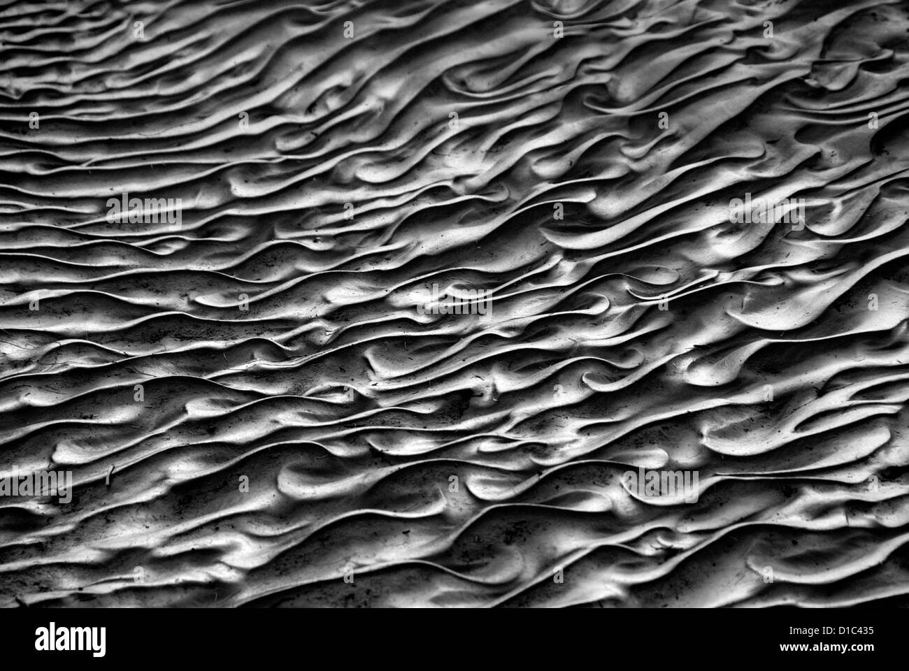 Patterns in mud sand sand Black and White Stock Photos & Images - Alamy