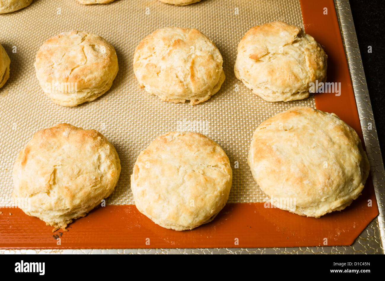 A tray of freshly baked biscuits Stock Photo - Alamy