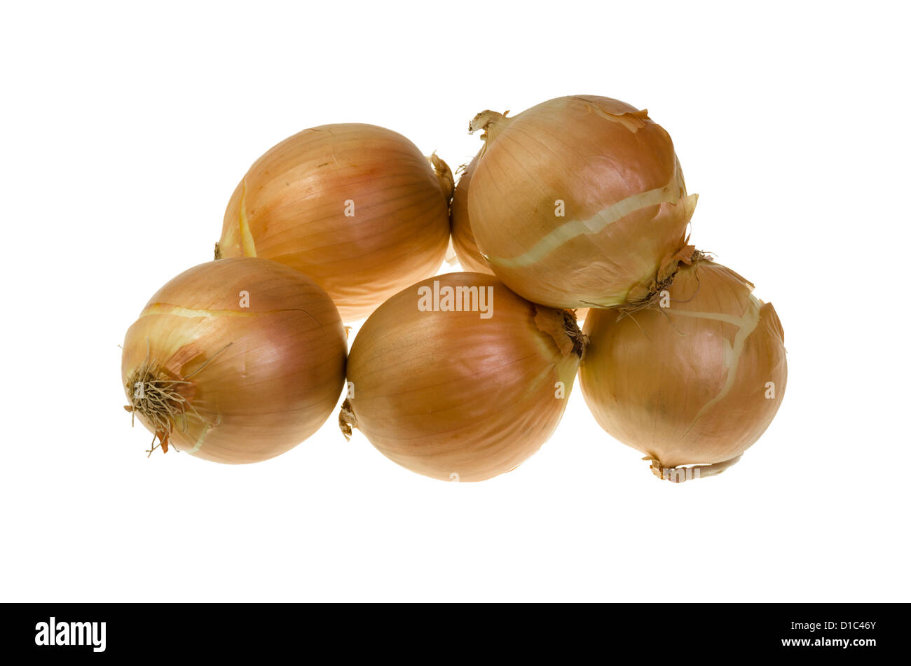 Group of brown Spanish onions isolated on white Stock Photo - Alamy