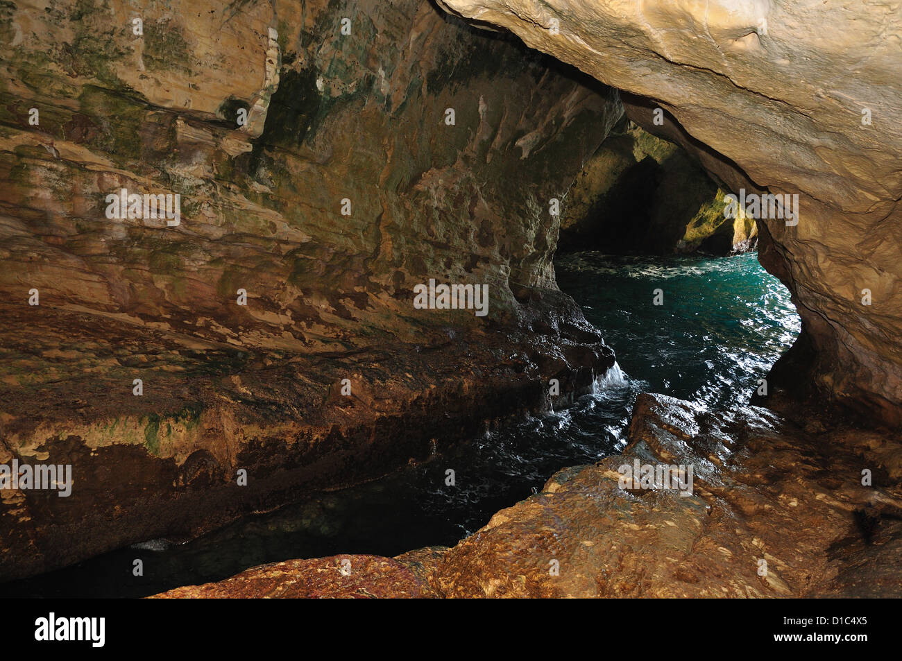 Natural grotto at Rosh hanikra, formed by sea action on the soft chalk ...