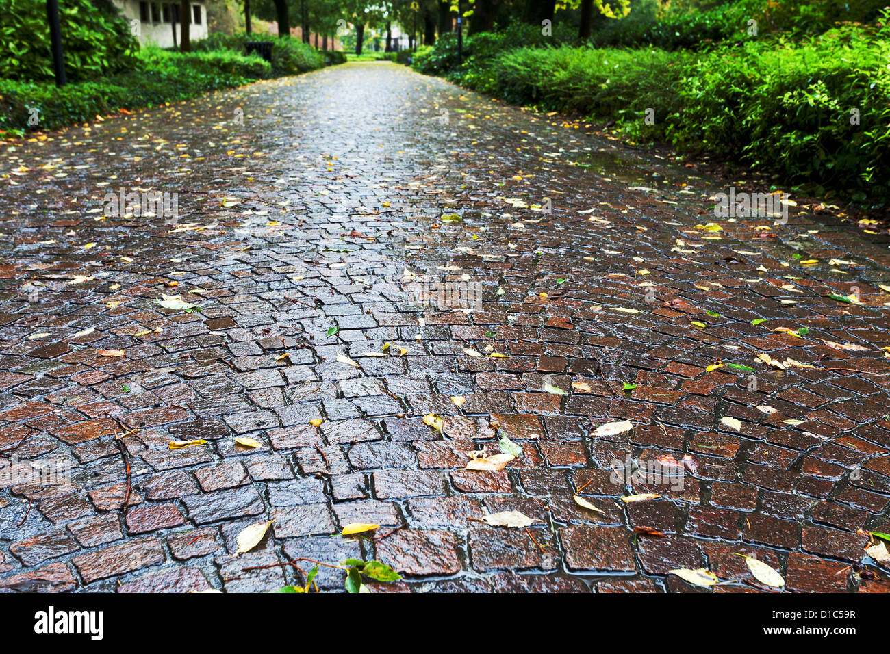 Wet scenery hi-res stock photography and images - Alamy