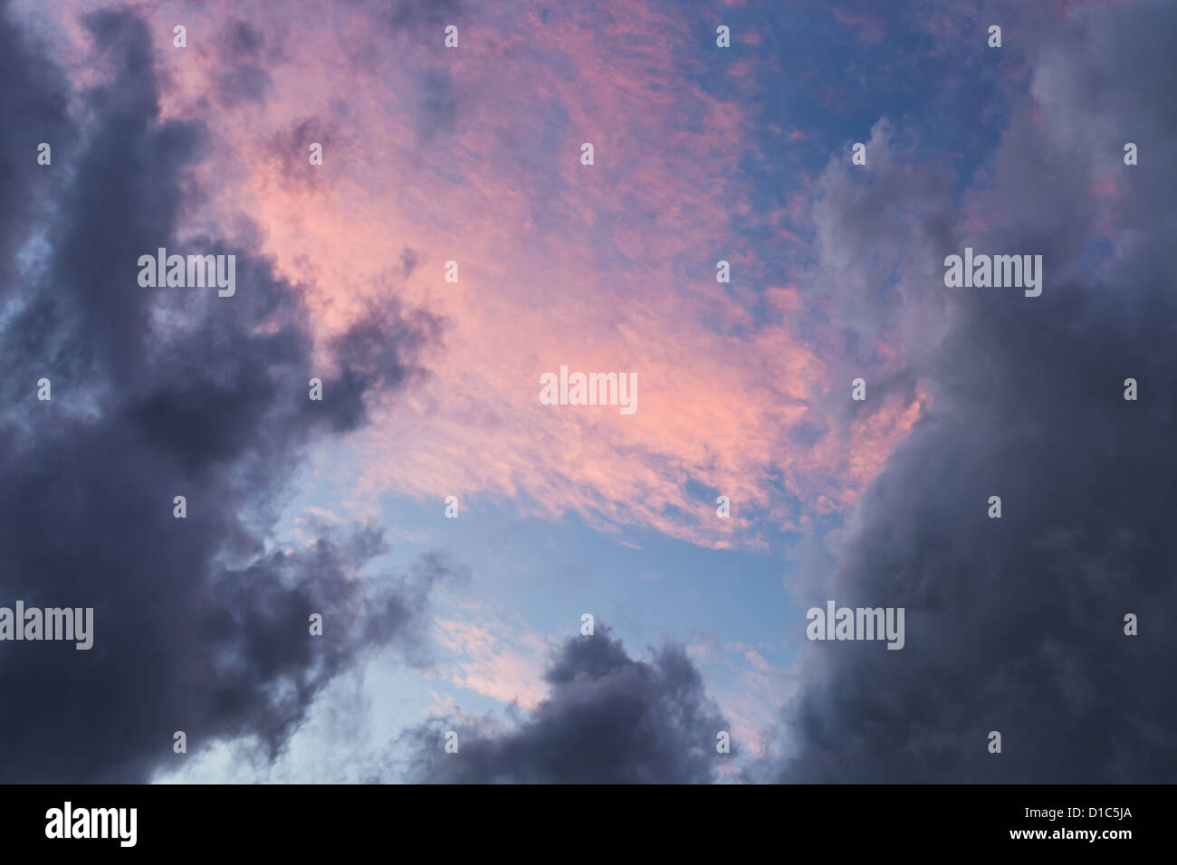 Emilia pink hi-res stock photography and images - Alamy