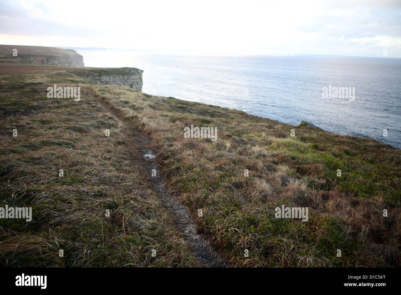 Dunnet head coastal walk - peninsula in Caithness - most northerly ...