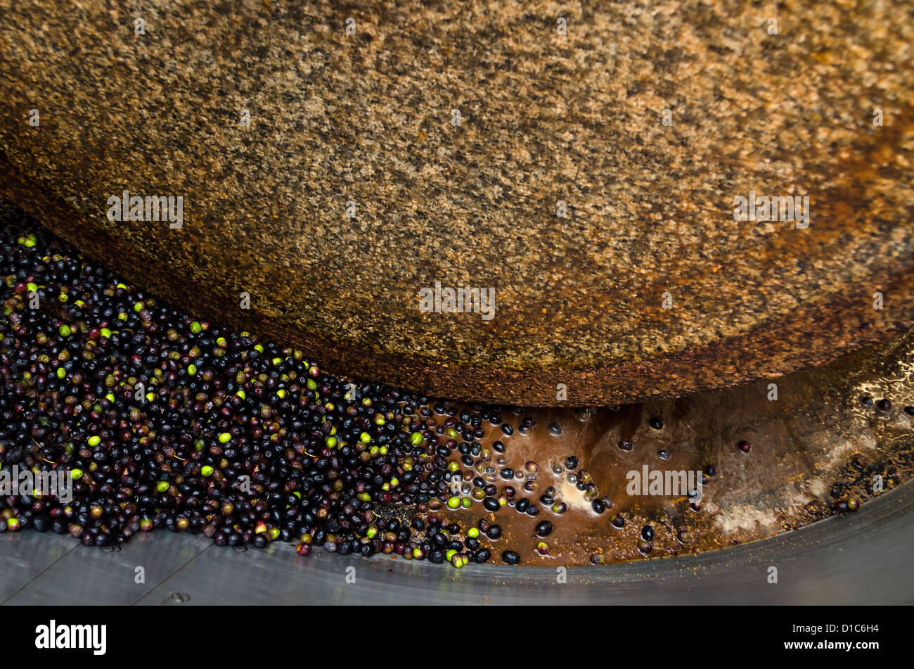 granite millstone while crushing the olives to make olive oil Stock ...