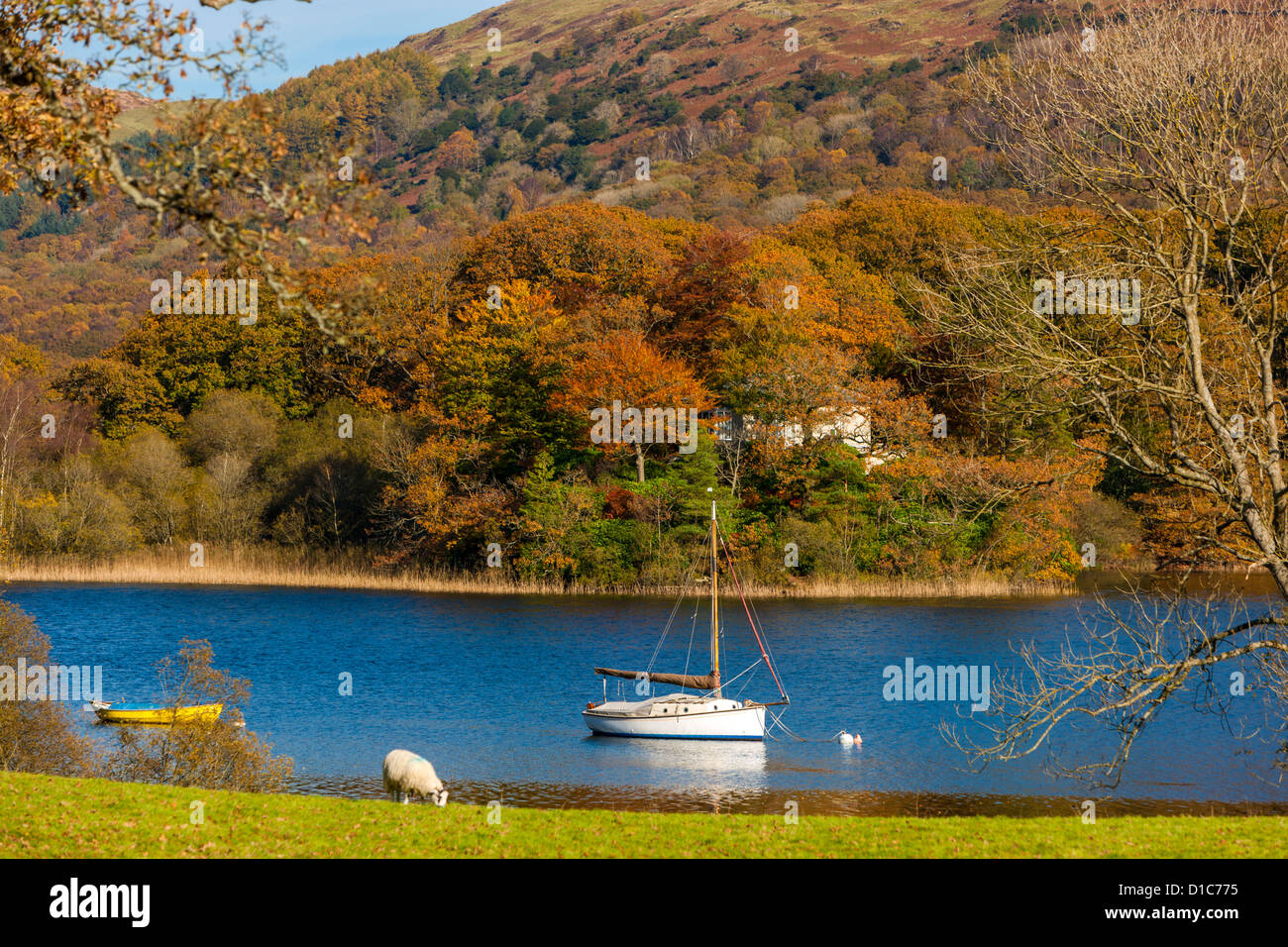 Coniston Water in the Lake District National Park Stock Photo - Alamy