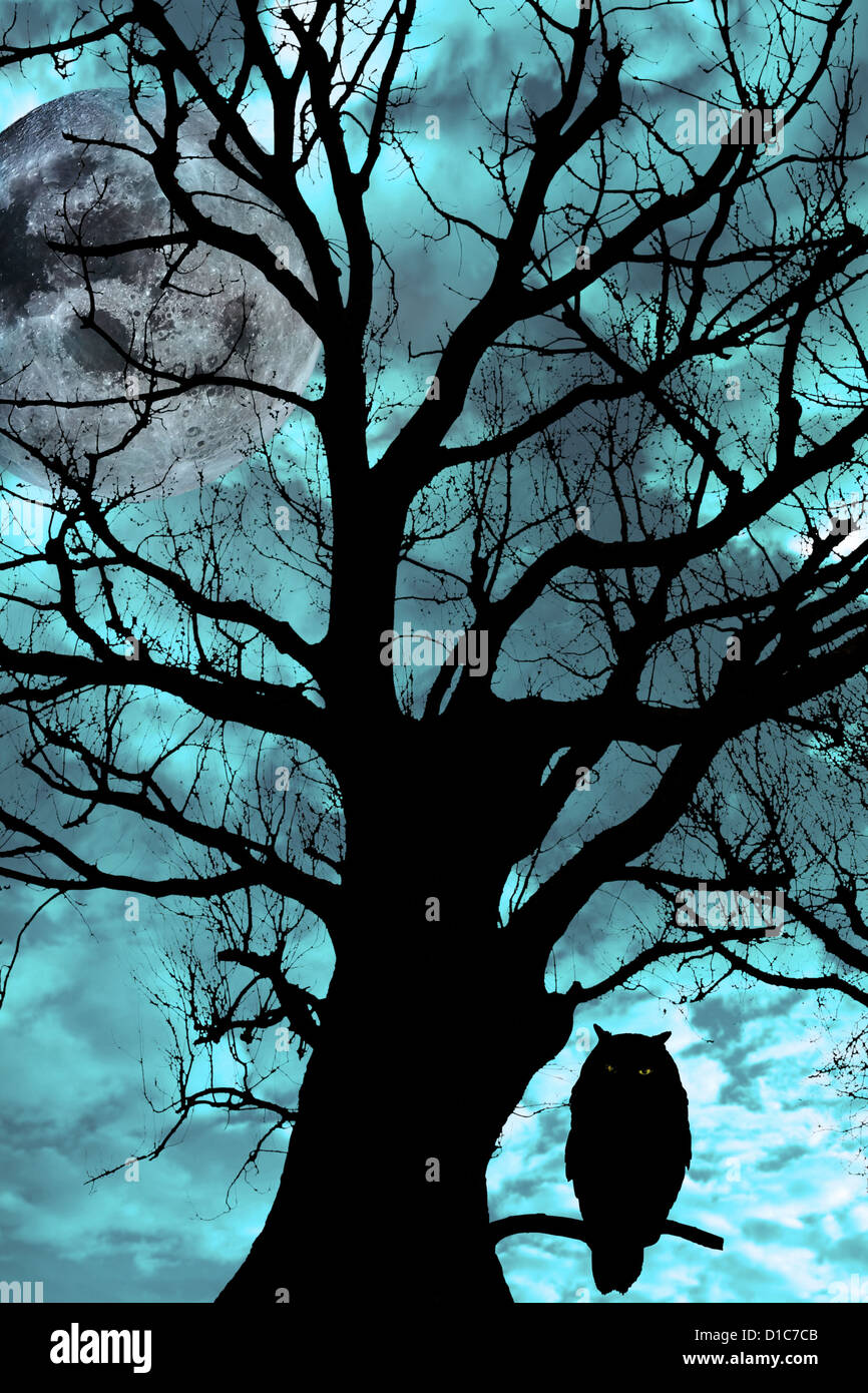 Silhouette Of An Owl Stock Photos & Silhouette Of An Owl Stock Images ...