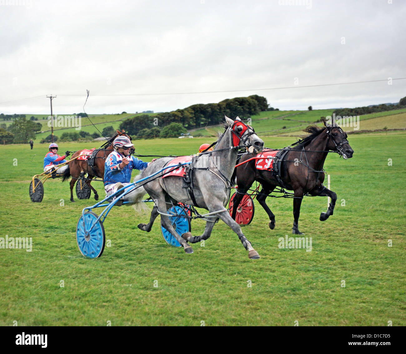 Trotting racing course hi-res stock photography and images - Alamy