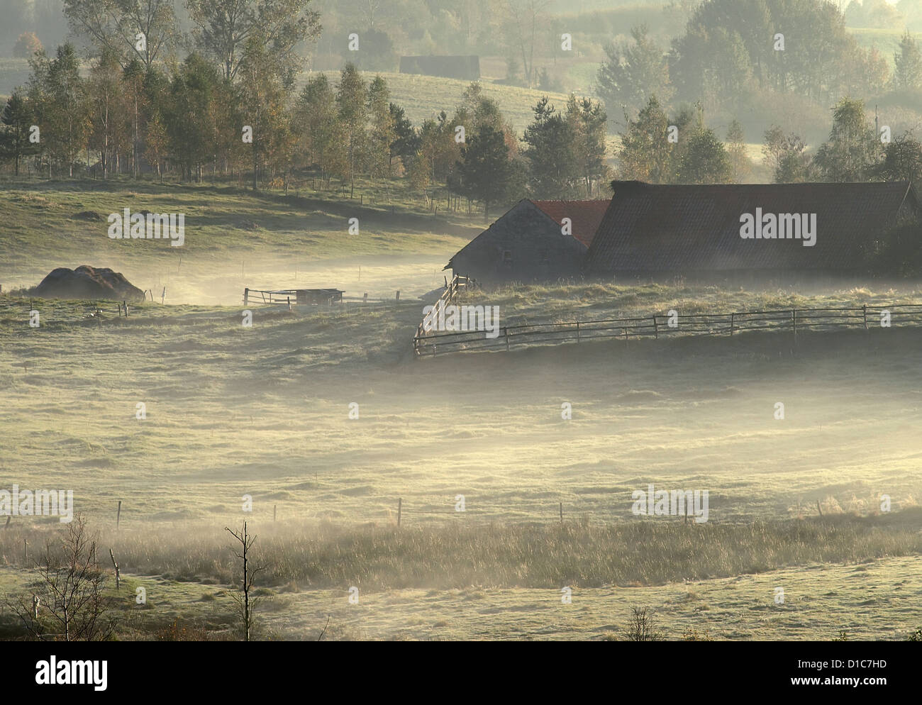 farm in morning fog Stock Photo - Alamy
