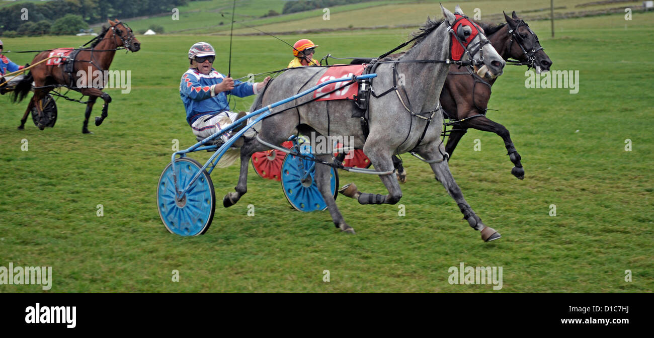 Trotting racing course hi-res stock photography and images - Alamy