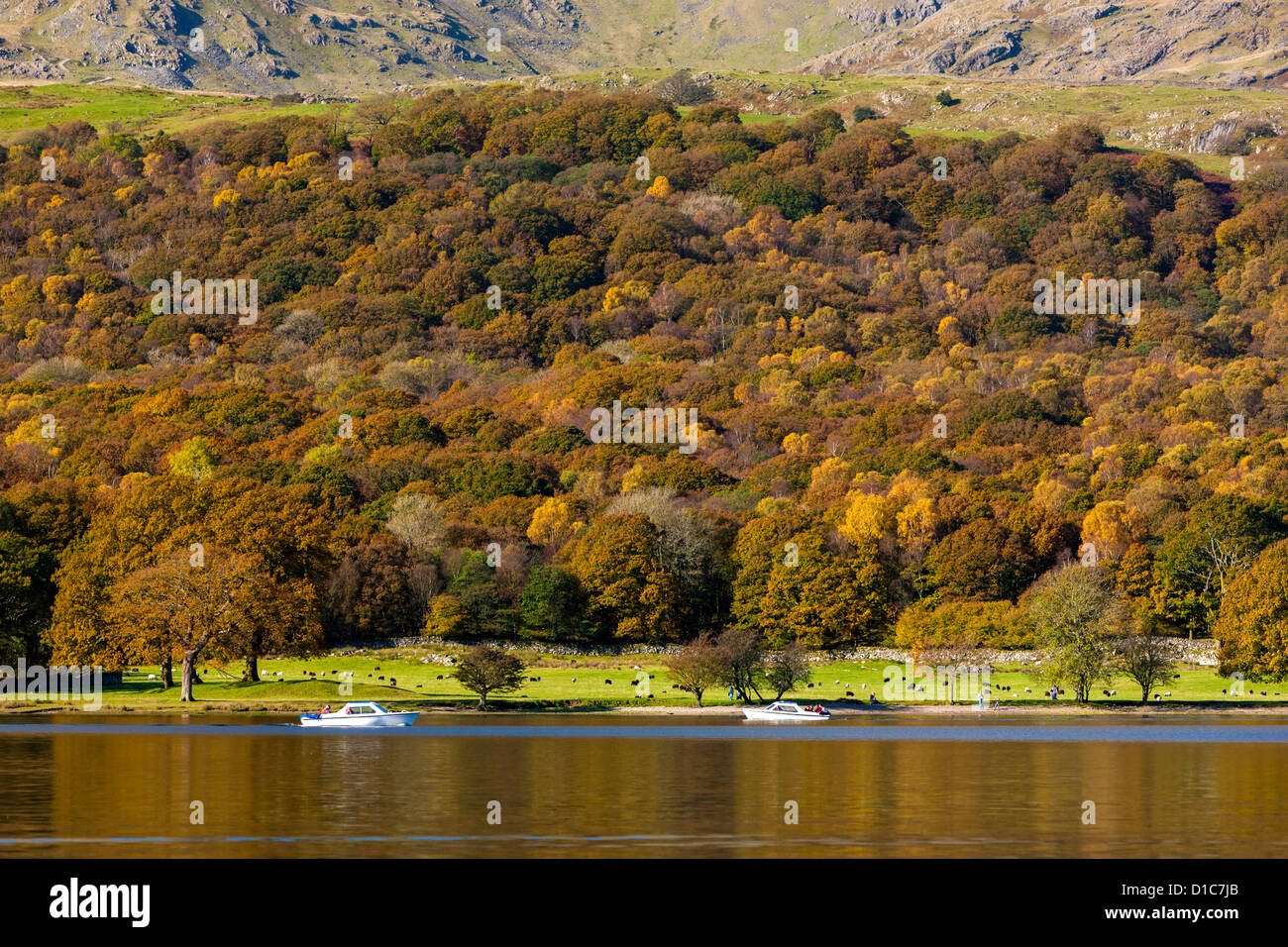 Coniston Water in the Lake District National Park Stock Photo - Alamy