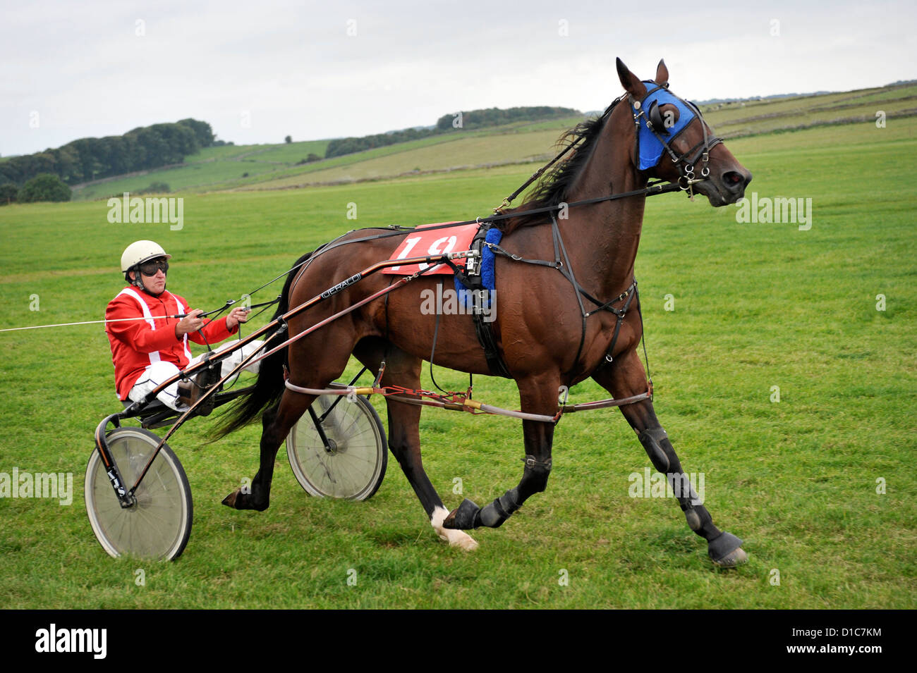 Trotting racing course hi-res stock photography and images - Alamy