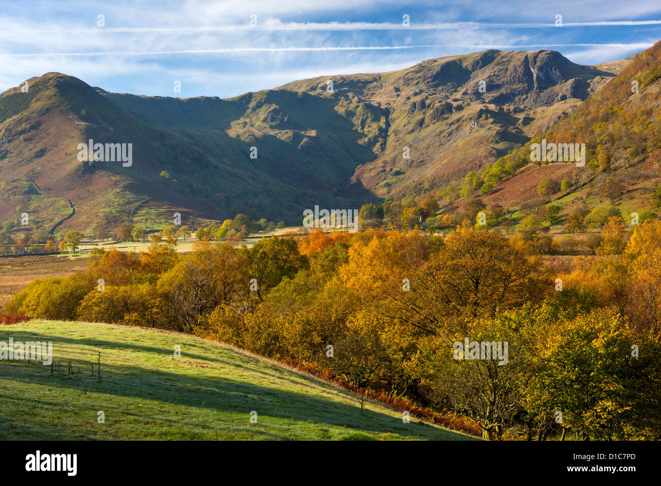Dodd hi-res stock photography and images - Alamy