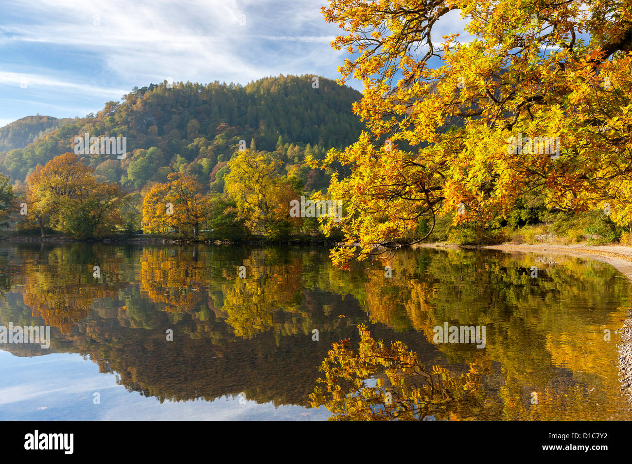 Autumn trees at Ullswater, Lake District National Park, Cumbria ...