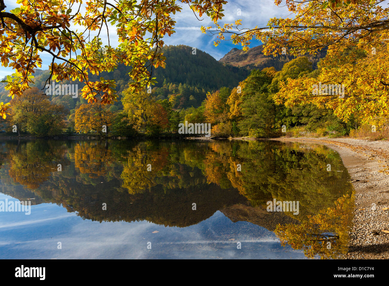 Autumn trees at Ullswater, Lake District National Park, Cumbria ...