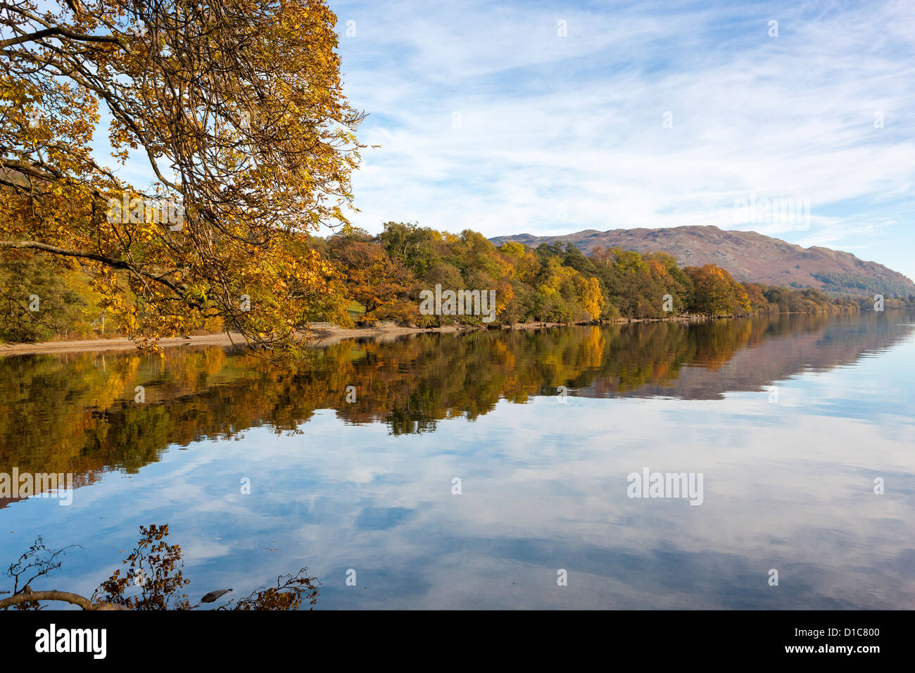 Autumn trees at Ullswater, Lake District National Park, Cumbria ...