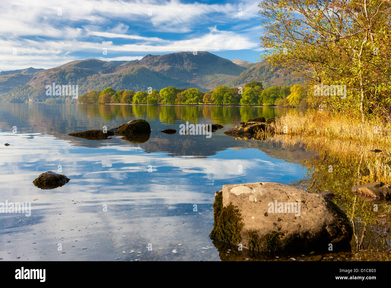 Autumn trees at Ullswater, Lake District National Park, Cumbria ...