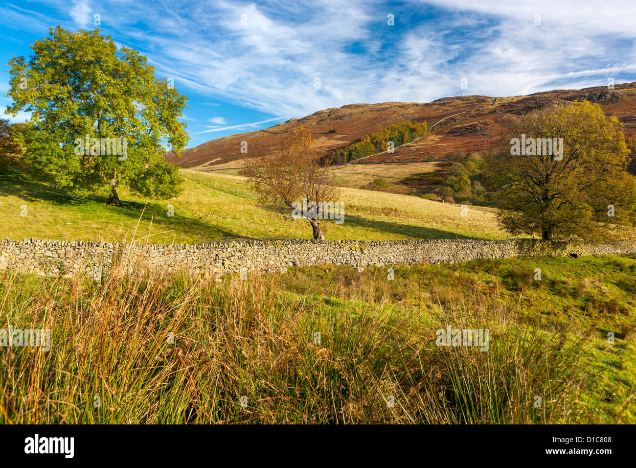 Autumn landscape in the Lake District National Park Stock Photo - Alamy