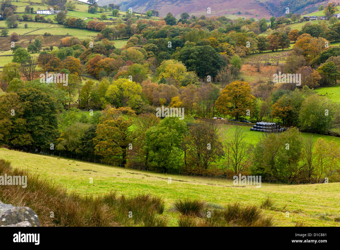 Keskadale and Derwent Fells near Keswick, Lake District National Park ...