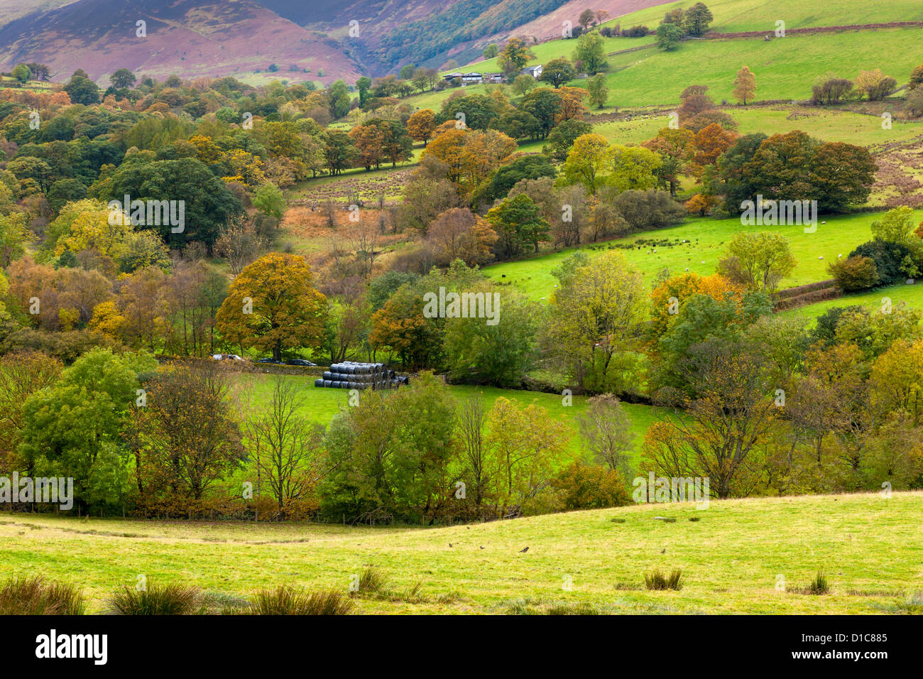 Keskadale and Derwent Fells near Keswick, Lake District National Park ...