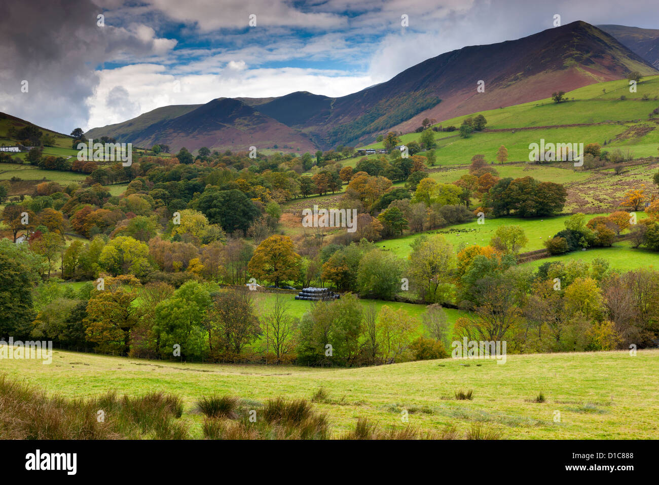 Keskadale and Derwent Fells near Keswick, Lake District National Park ...