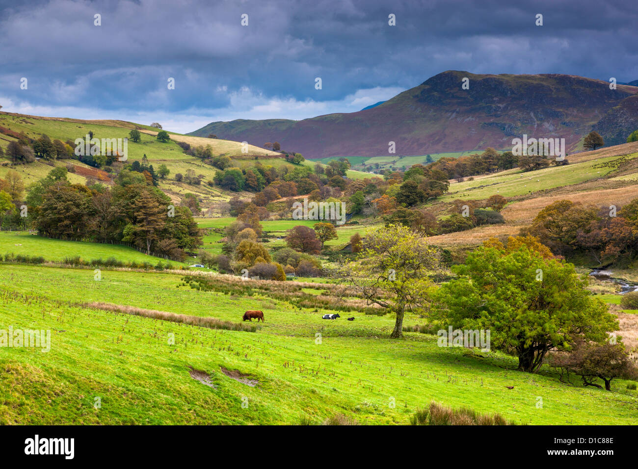 Keskadale and Derwent Fells near Keswick, Lake District National Park ...