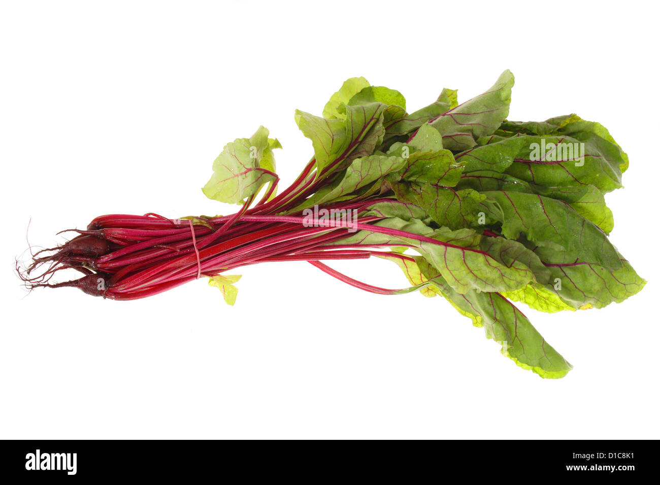 fresh bunch of beetroot photo on the white background Stock Photo - Alamy