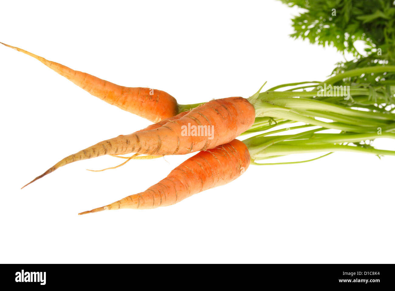 Roots carrot hi-res stock photography and images - Alamy