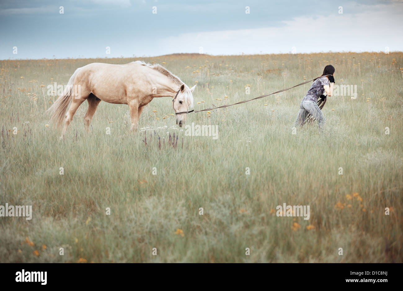 Balky horse hi-res stock photography and images - Alamy