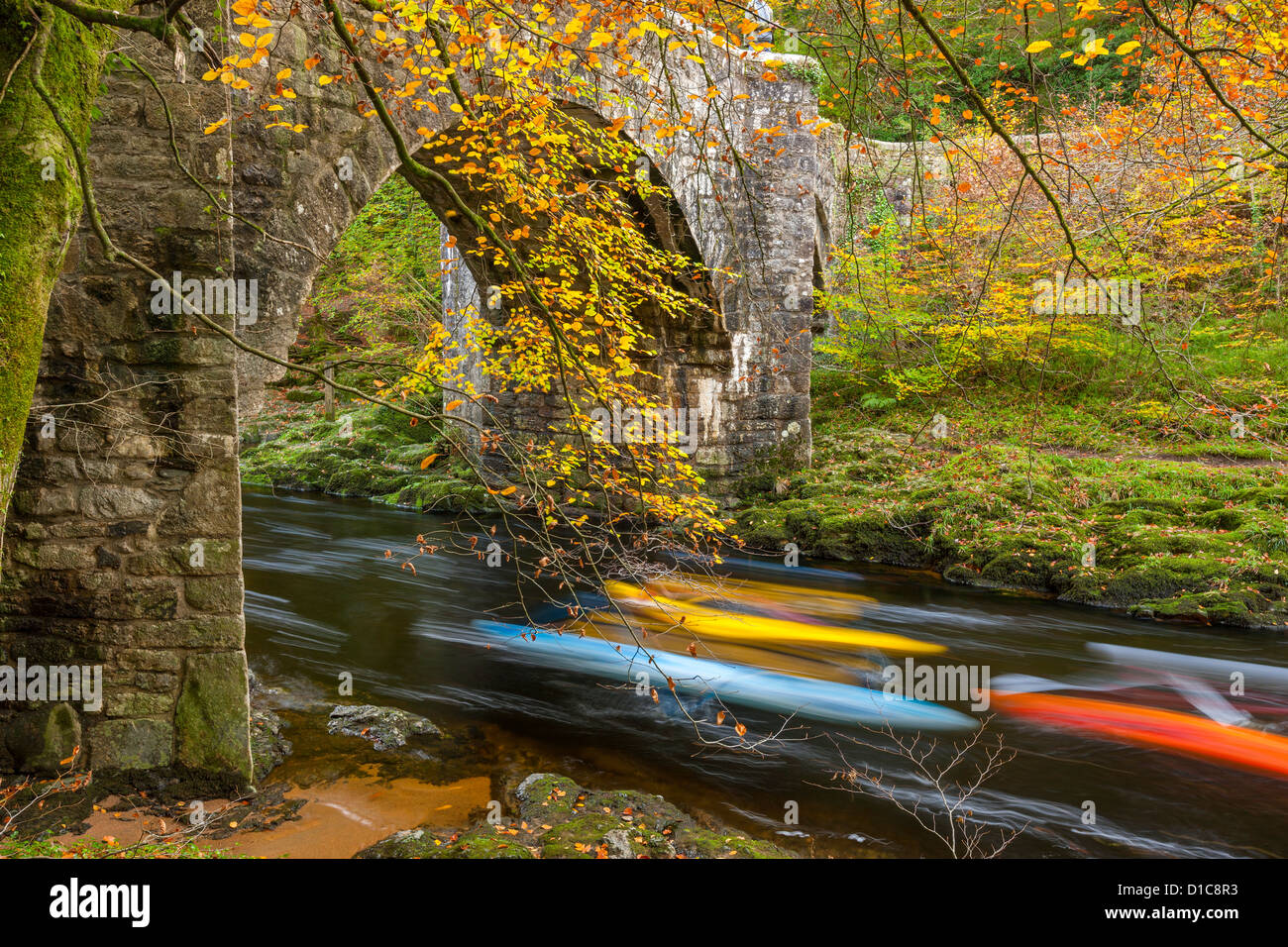 Holne forest hi-res stock photography and images - Alamy