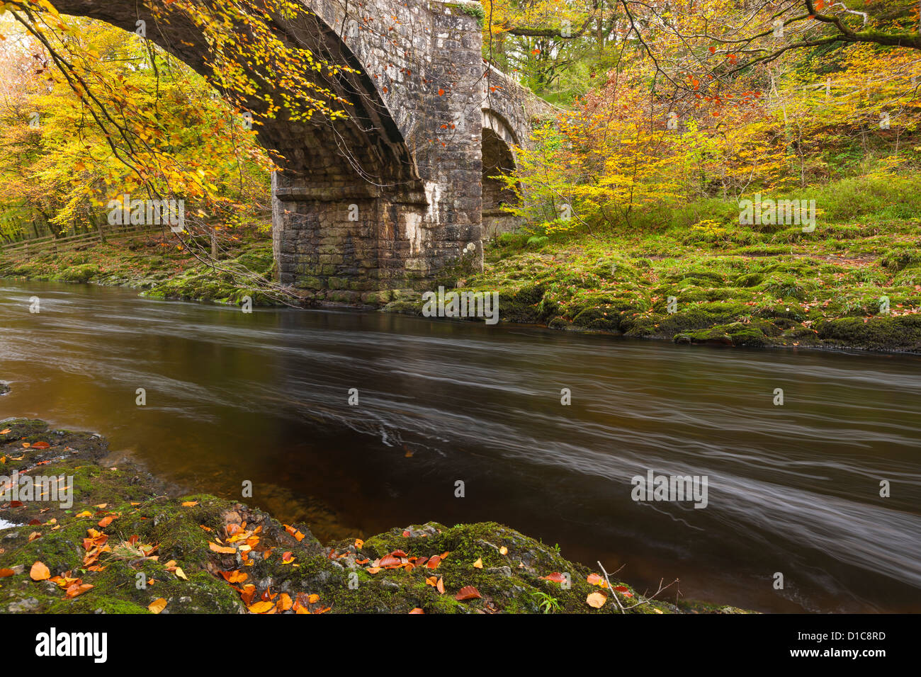 Holne Bridge over the River Dart in Dartmoor National Park Stock Photo ...