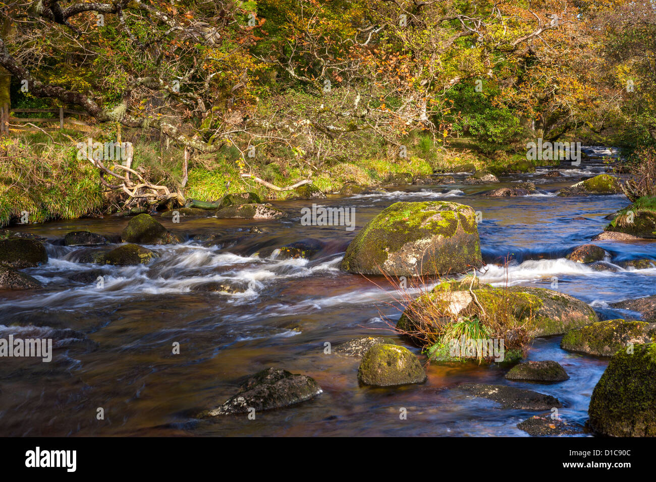 The East Dart River flowing through woodland at Dartmeet in Dartmoor ...
