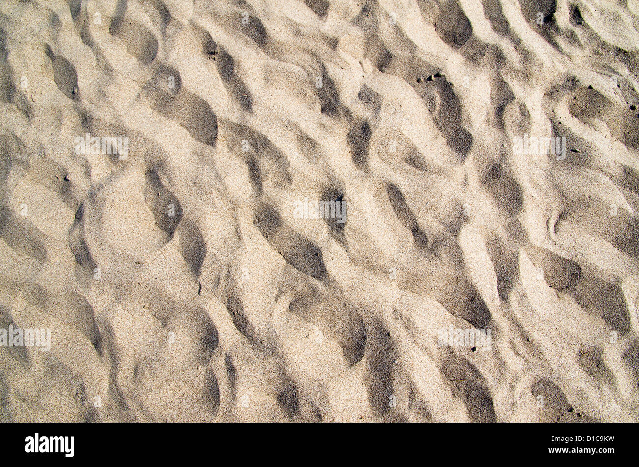 Close up shot of coral sand Stock Photo - Alamy