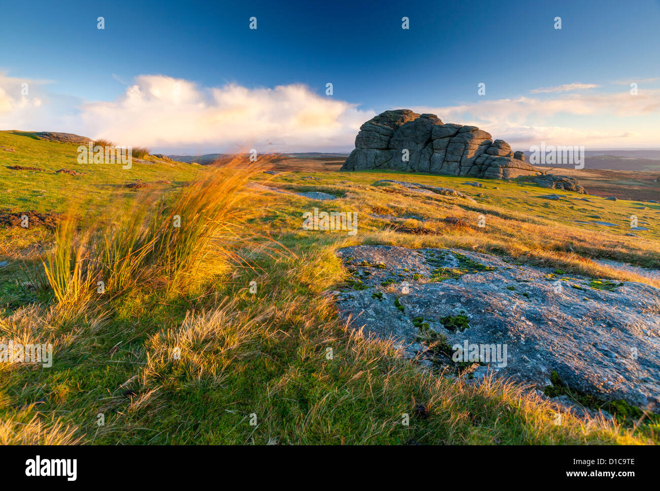 Haytor Rocks, a granite tor in Dartmoor National Park Stock Photo - Alamy